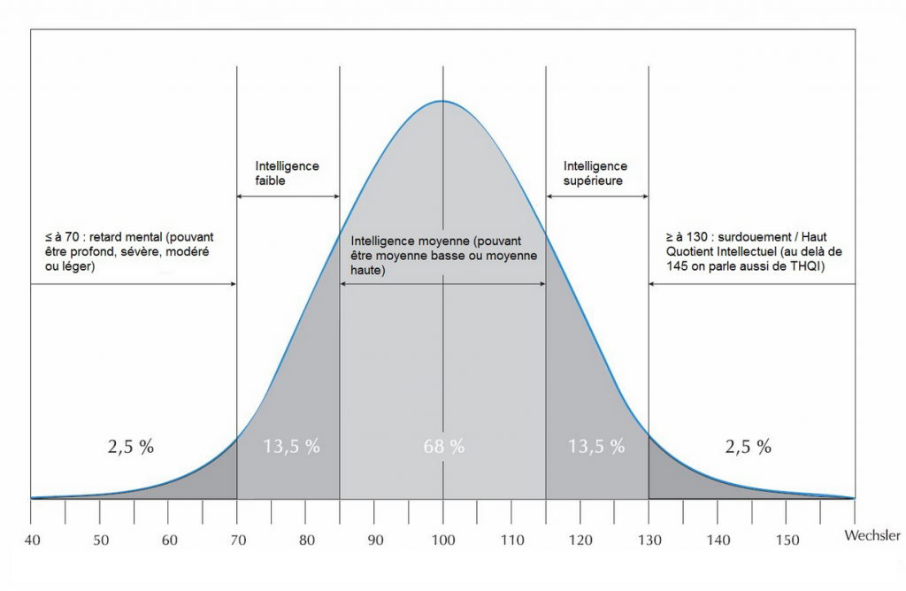 Qu’est ce qu’un test de QI ? – OUMMA POTEN'CIEL